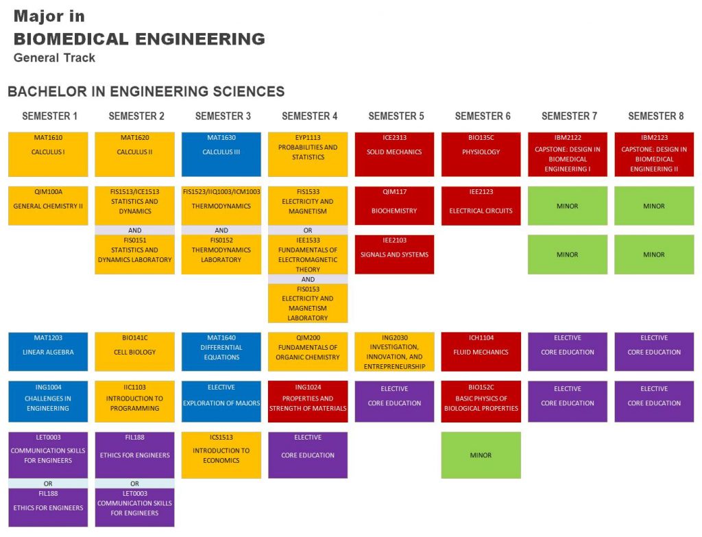 Biomedical Engineering Schedule