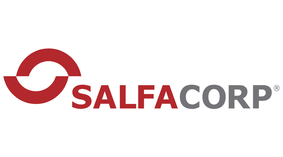 [Feria Laboral] Webinar «Programa Jóvenes Profesionales Salfacorp ...