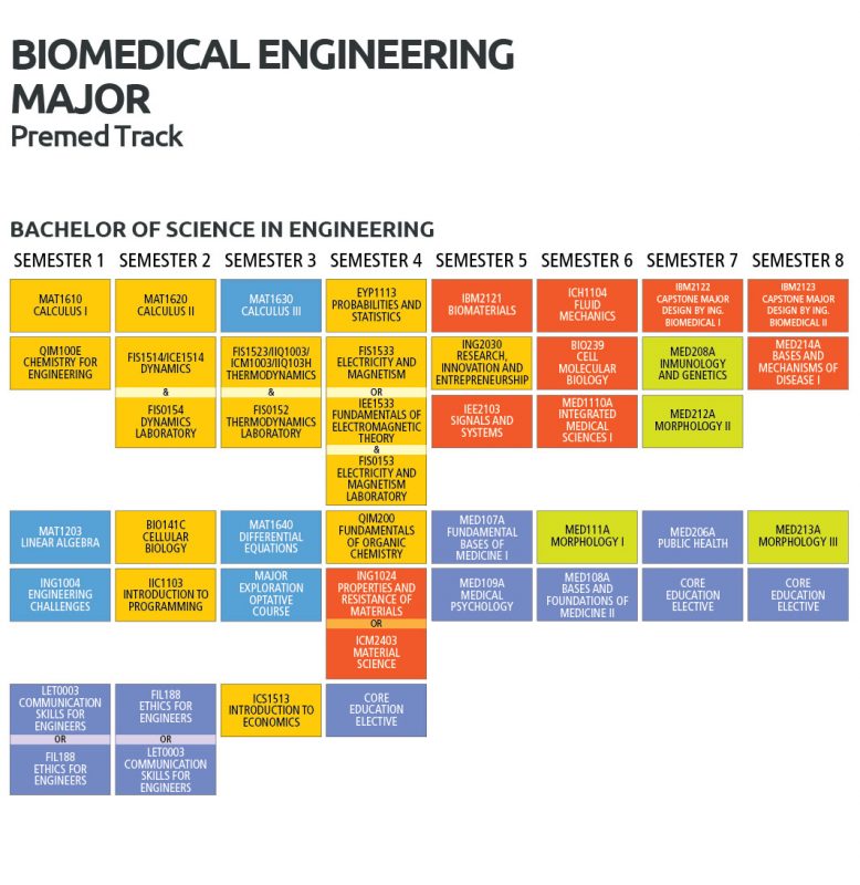 Biomedical Engineering Schedule